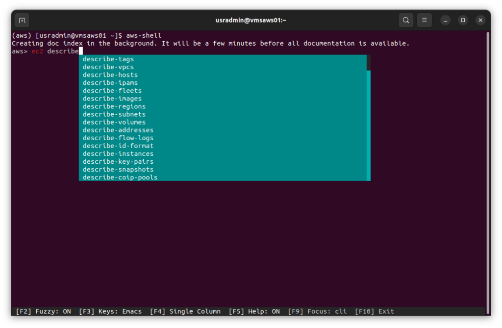 AWS CLIの機能を拡張したAWS Shellを使用する！